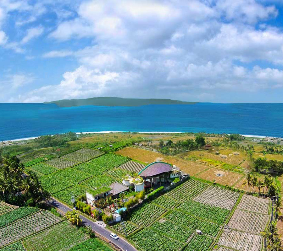 Total Bali | Total Bali, Bali Total, Bali your way, Bali experience ...